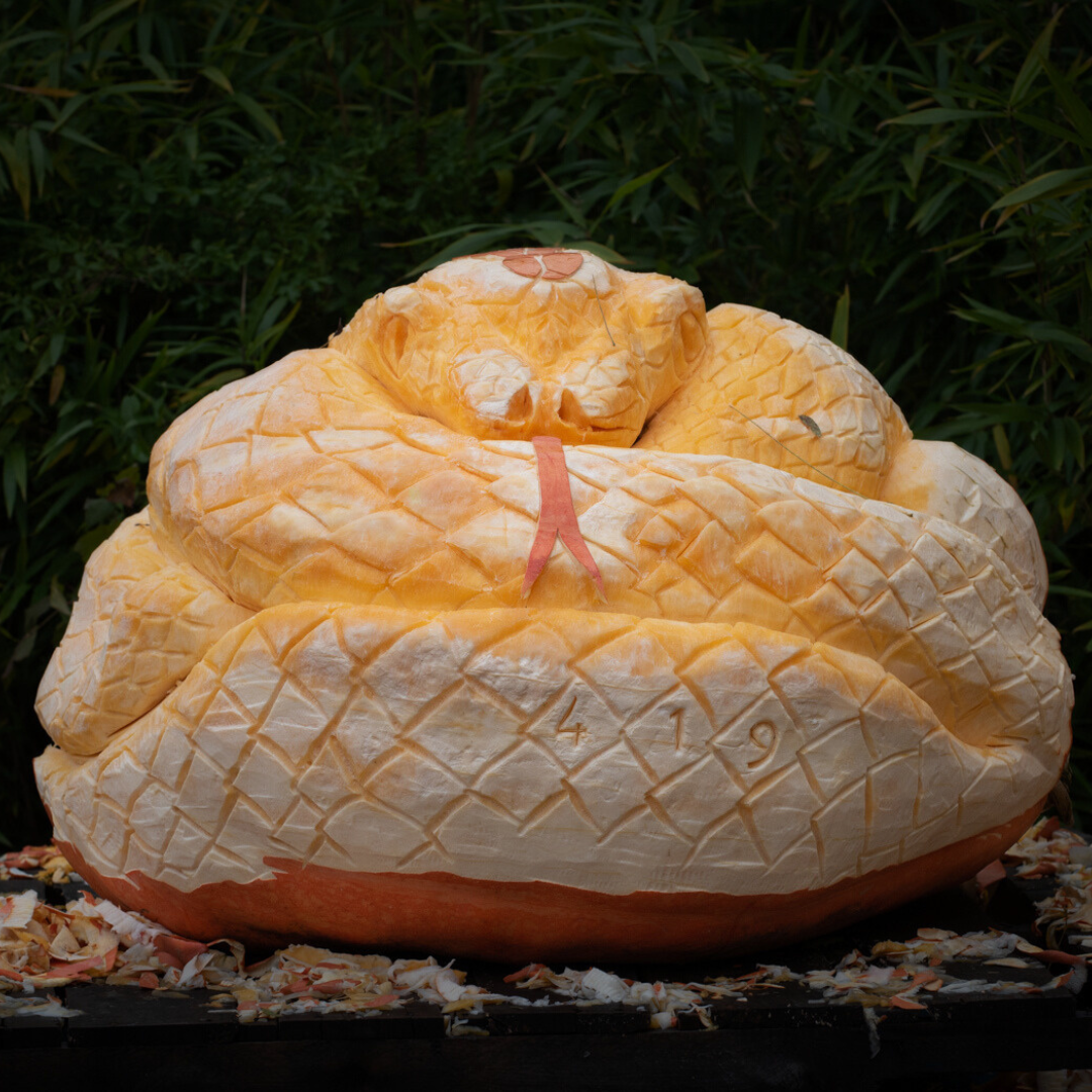 Boo at the Zoo | Columbus Zoo and Aquarium