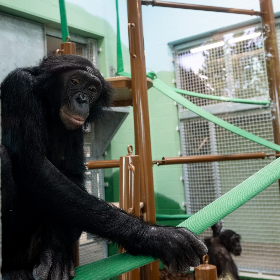 RSVP | Columbus Zoo and Aquarium