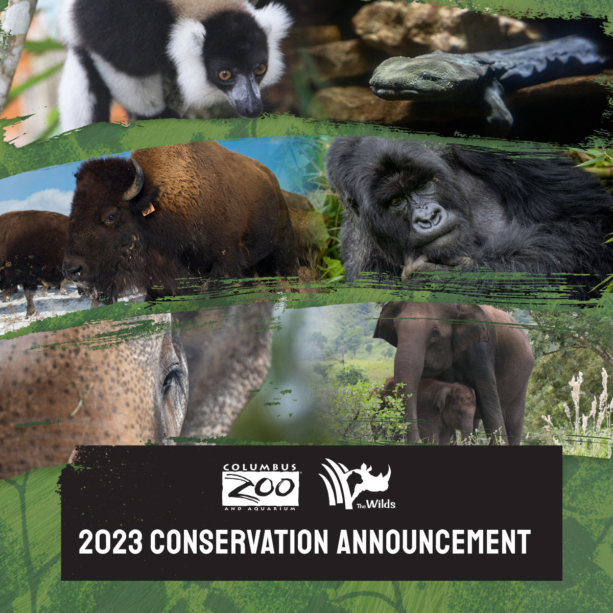 Conservation Programs | Columbus Zoo and Aquarium