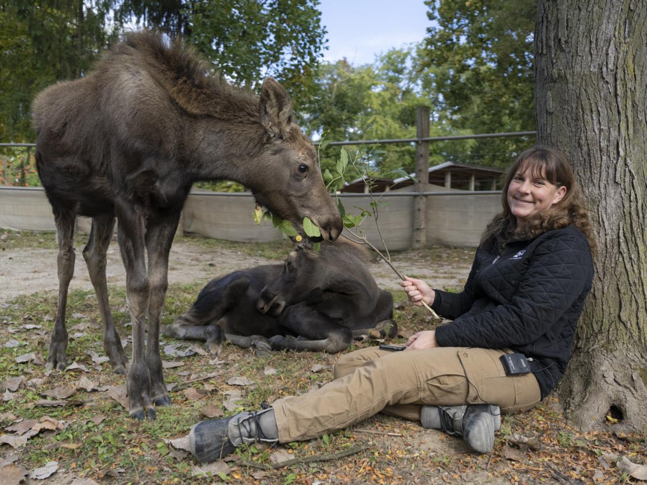 Wild Wishes | Columbus Zoo and Aquarium