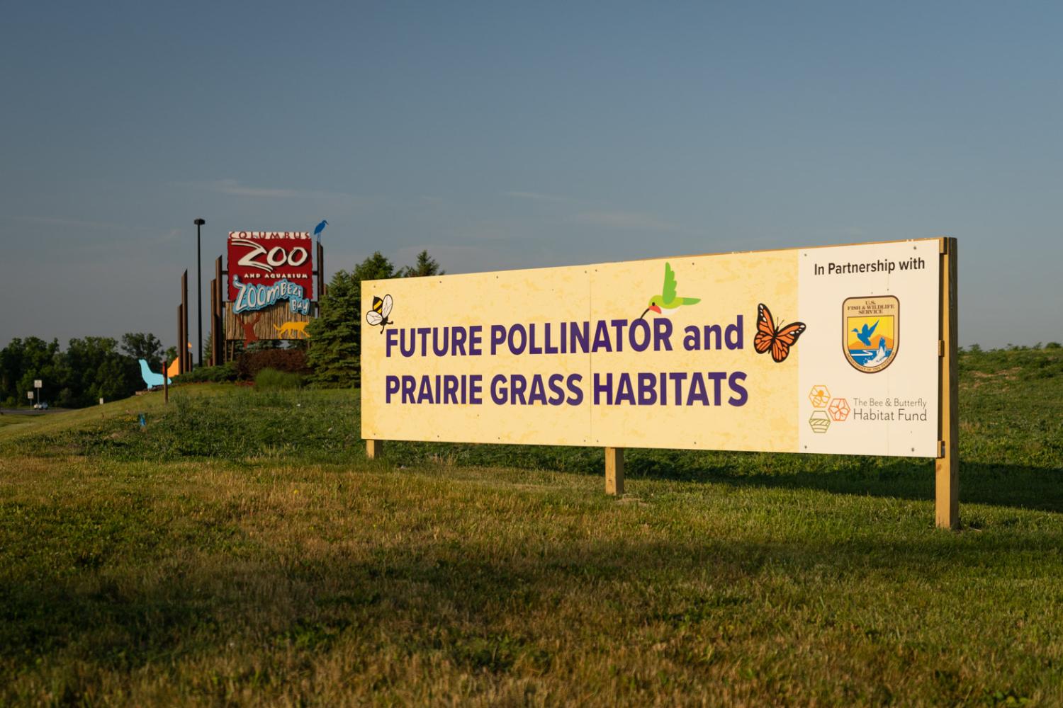 Pollinator Gardens: Sustainability and Conservation In-Bloom | Columbus ...