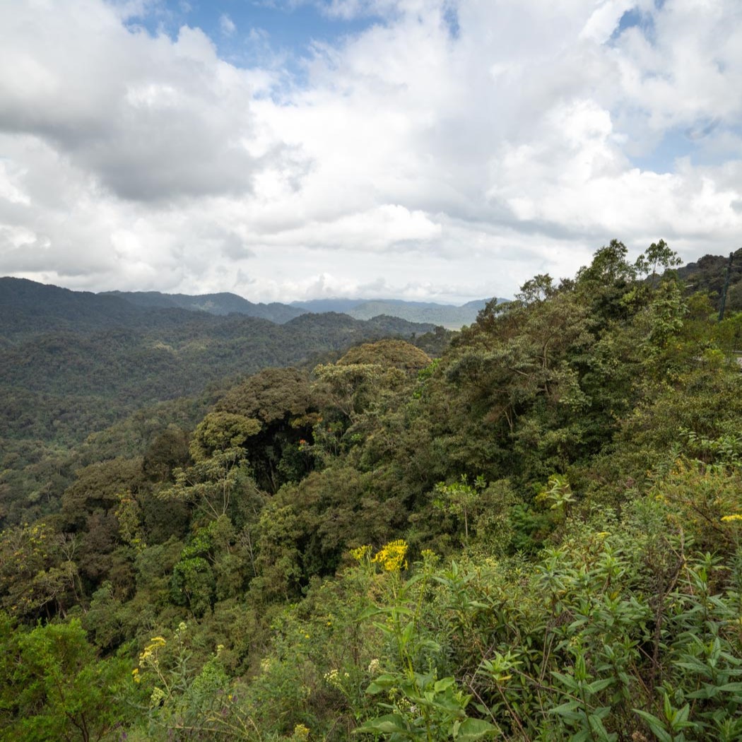 Through The Lens: A Columbus Zoo Photographer's Journey To Rwanda ...