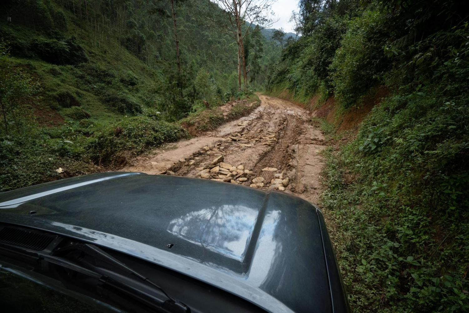 Through The Lens: A Columbus Zoo Photographer's Journey To Rwanda ...