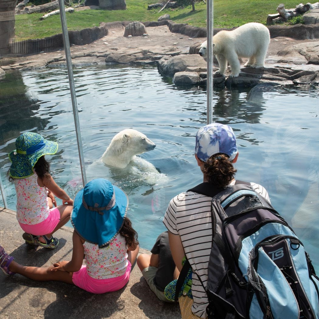 Spring at the Zoo | Columbus Zoo and Aquarium