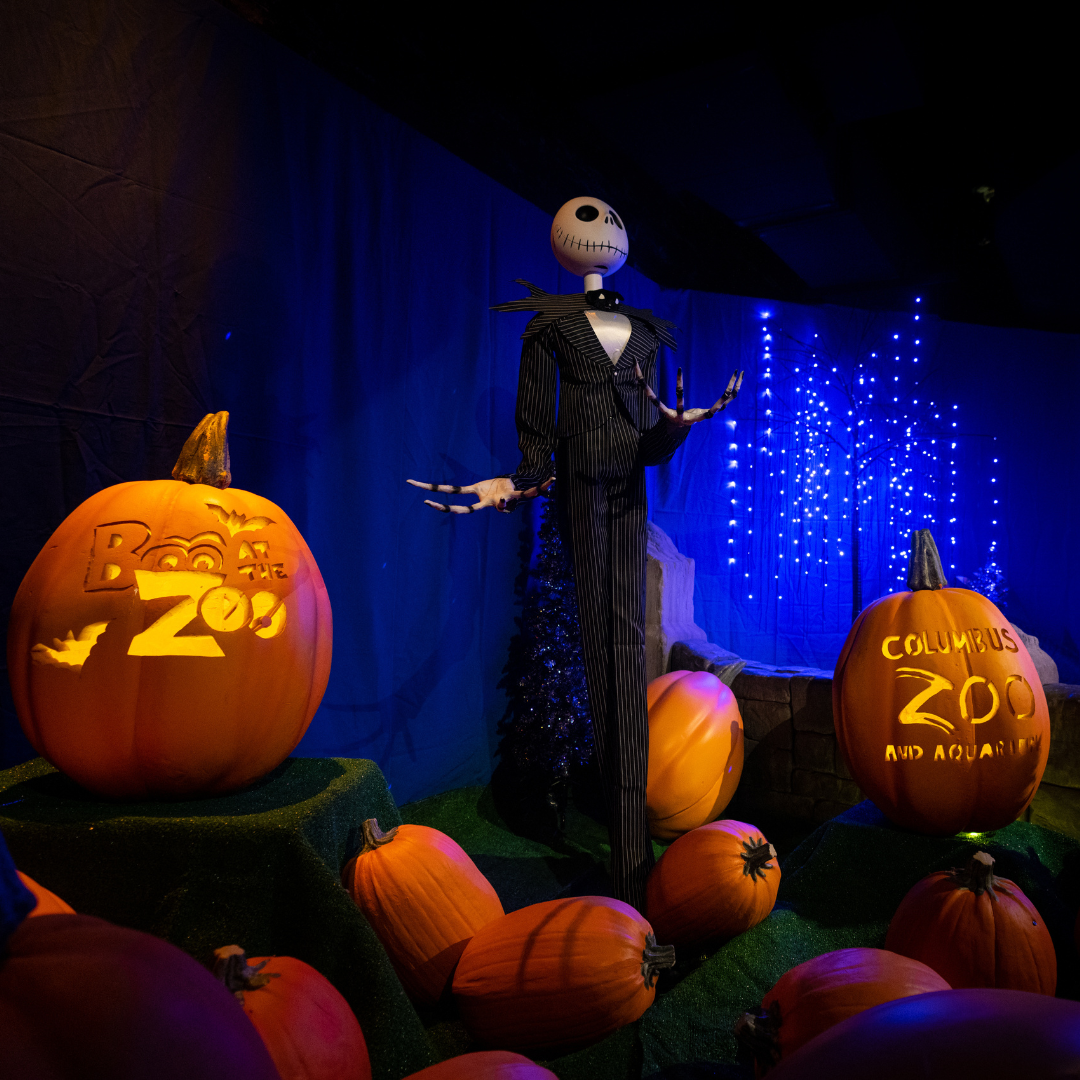 Boo at the Zoo | Columbus Zoo and Aquarium
