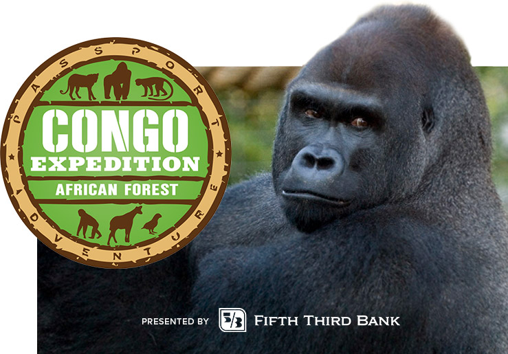 Congo Expedition | Columbus Zoo and Aquarium