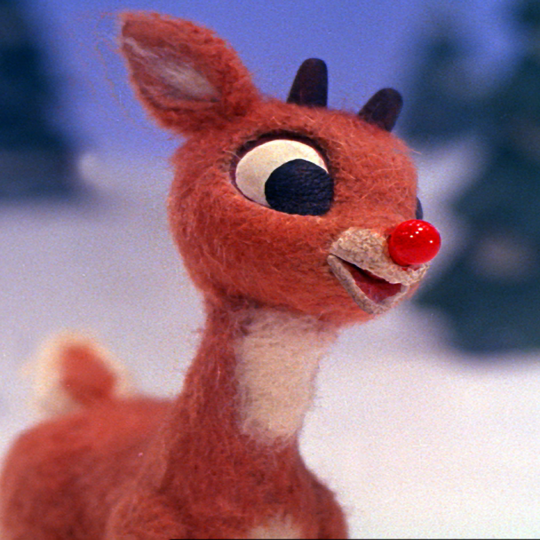 Wildlights 2023 | Columbus Zoo and Aquarium