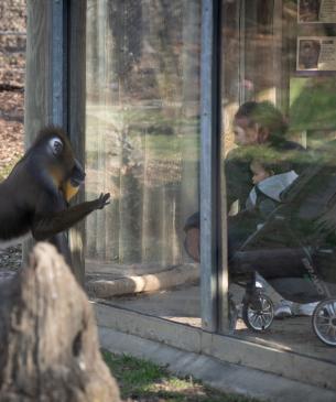 Congo Expedition | Columbus Zoo and Aquarium