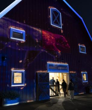 Columbus Zoo and Aquarium | Wildlights Zoo Lights