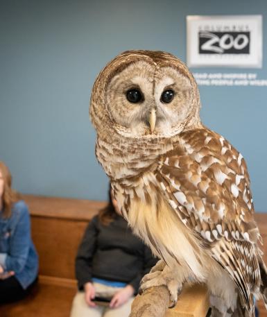 Columbus Zoo and Aquarium | Tours and Experiences