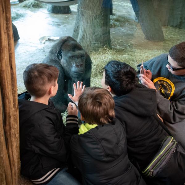 Congo Expedition | Columbus Zoo and Aquarium