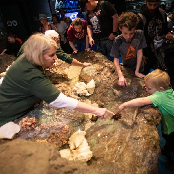 Shores and Aquarium | Columbus Zoo and Aquarium
