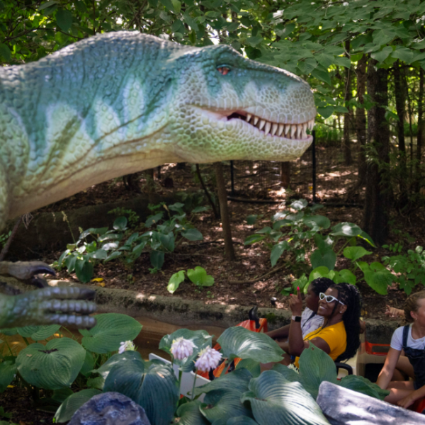 Dinosaur Island Boat Ride | Columbus Zoo and Aquarium