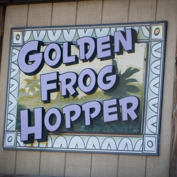 Golden Frog Hopper | Columbus Zoo and Aquarium