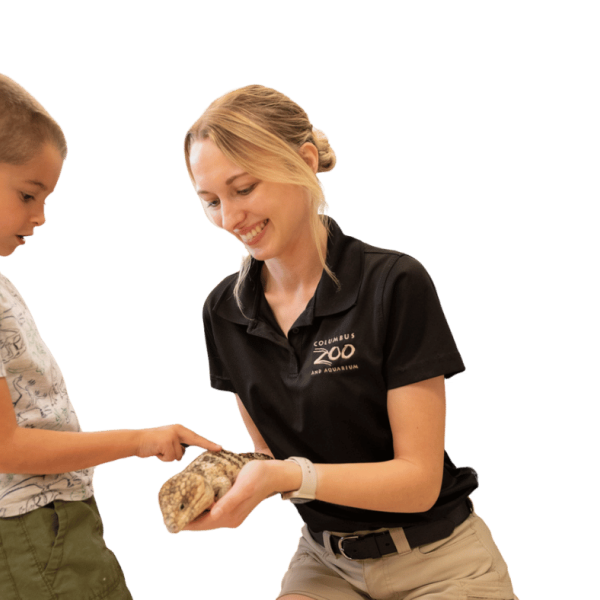 Education | Columbus Zoo and Aquarium