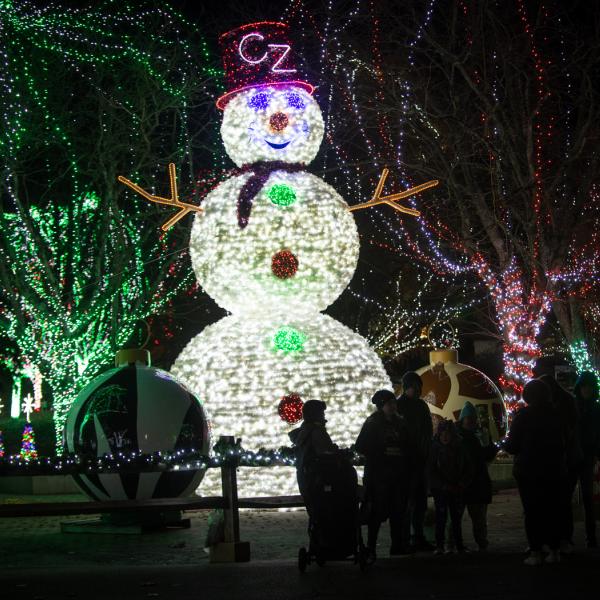 Wildlights Brings Holiday Magic to the Columbus Zoo and Aquarium ...