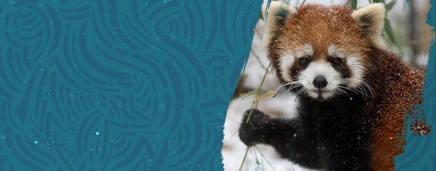 Columbus Zoo and Aquarium