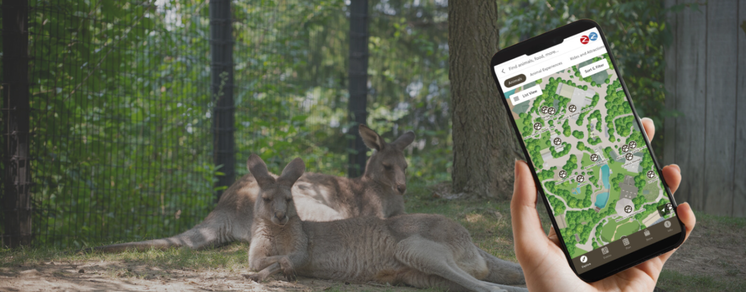 Spring at the Zoo | Columbus Zoo and Aquarium