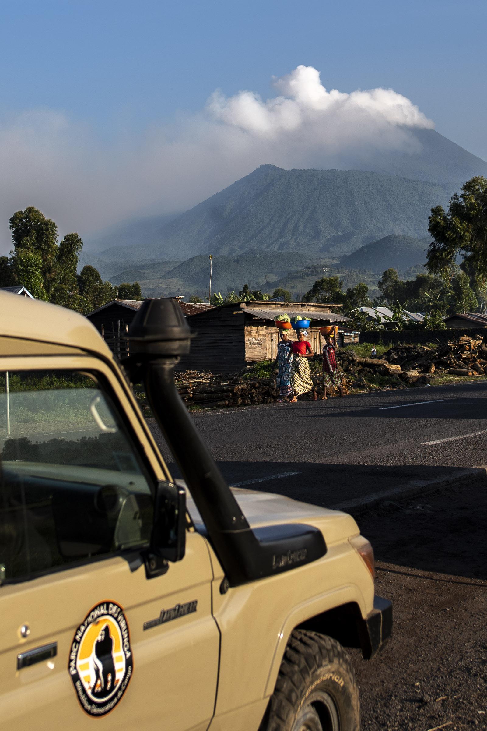 Gorilla Doctors in the DRC | Columbus Zoo and Aquarium