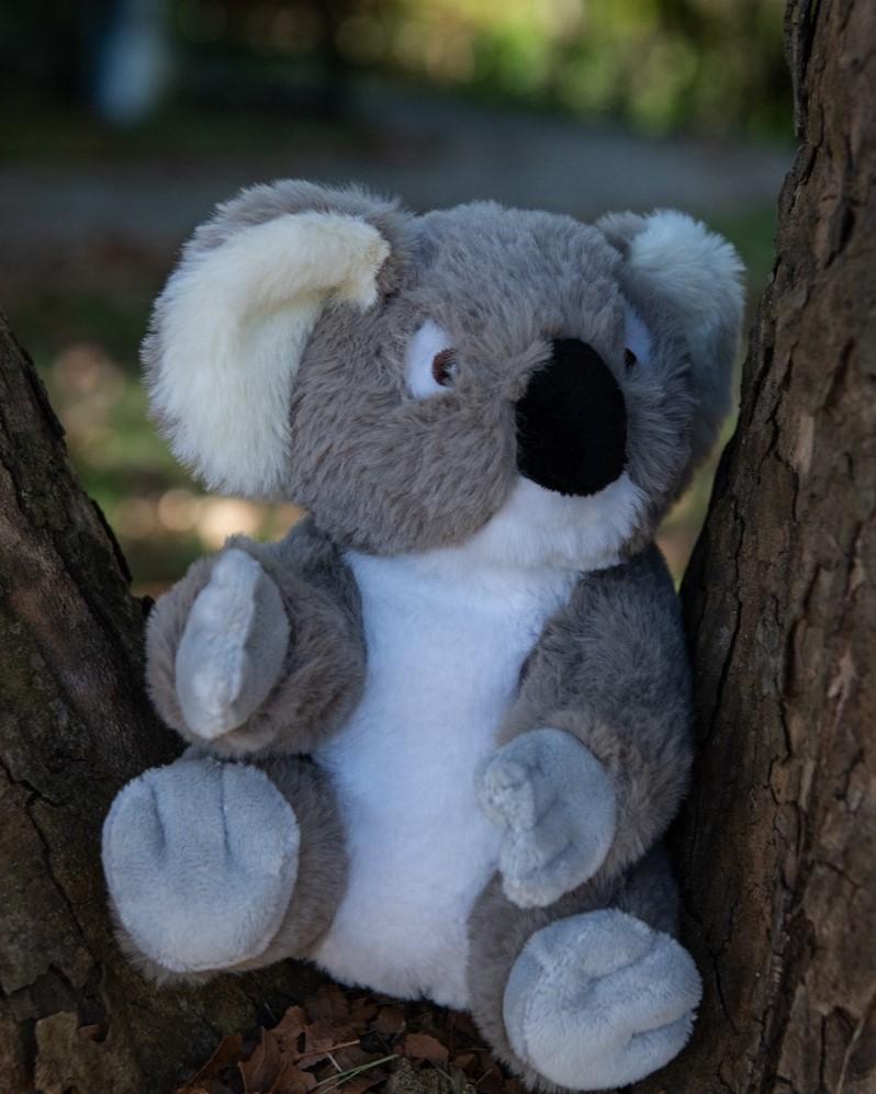 Adopt Special | Columbus Zoo and Aquarium