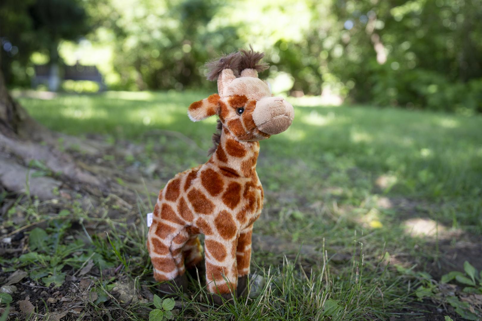 Adopt Special | Columbus Zoo and Aquarium
