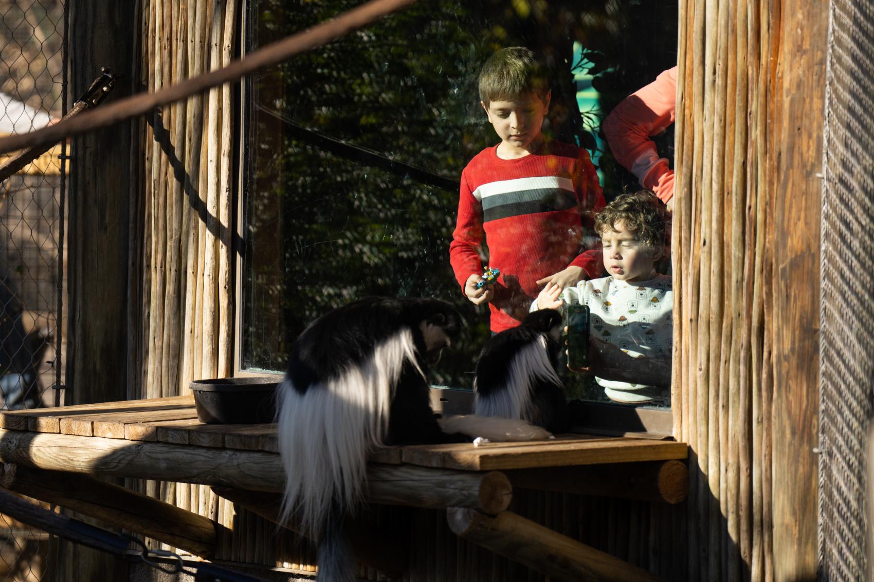 Congo Expedition | Columbus Zoo and Aquarium