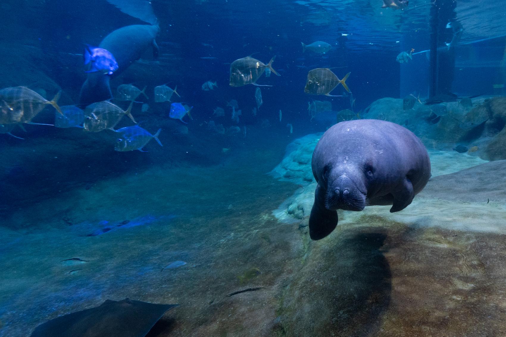 Columbus Zoo and Aquarium | Winter