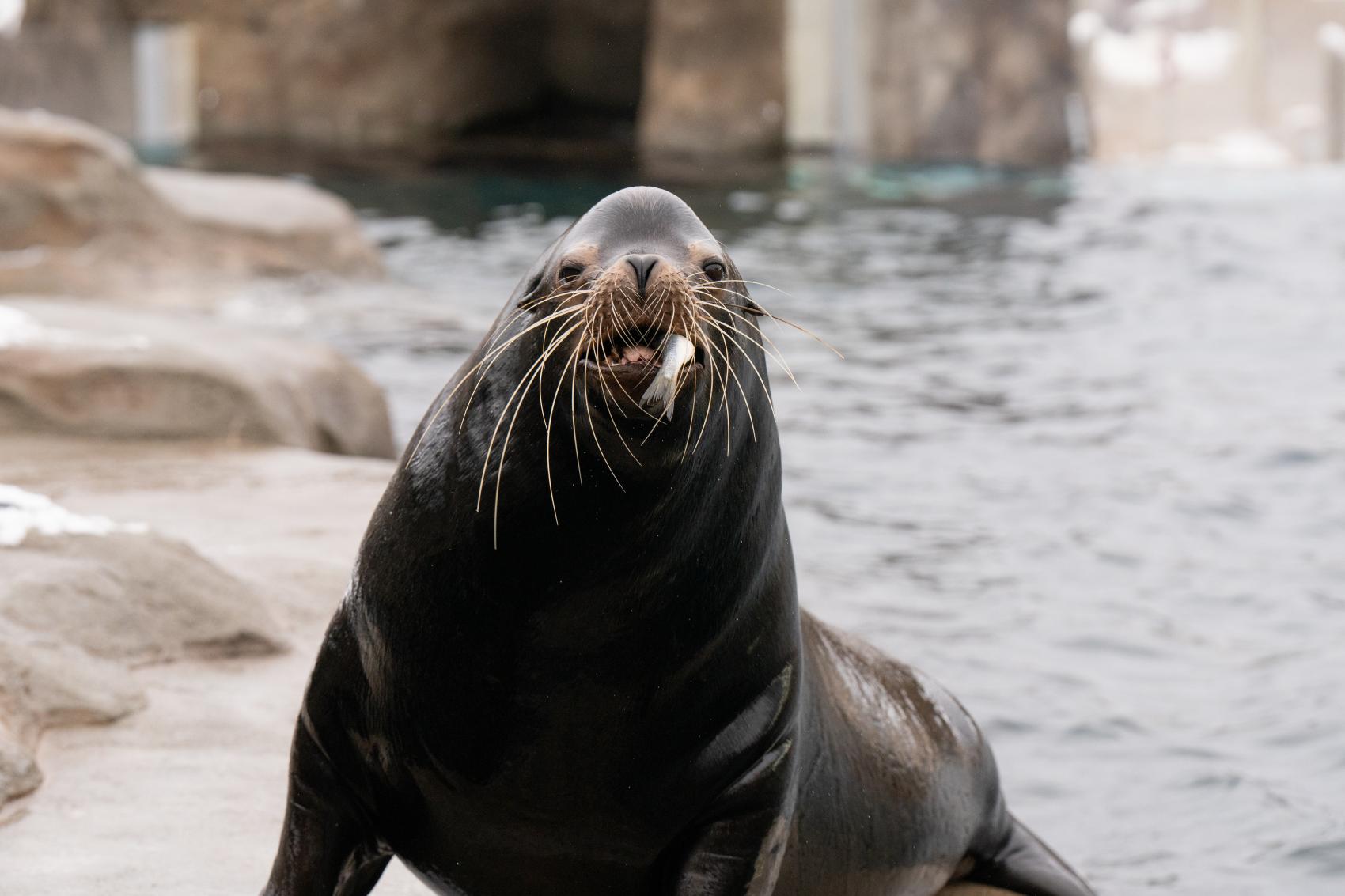 Adventure Cove | Columbus Zoo and Aquarium