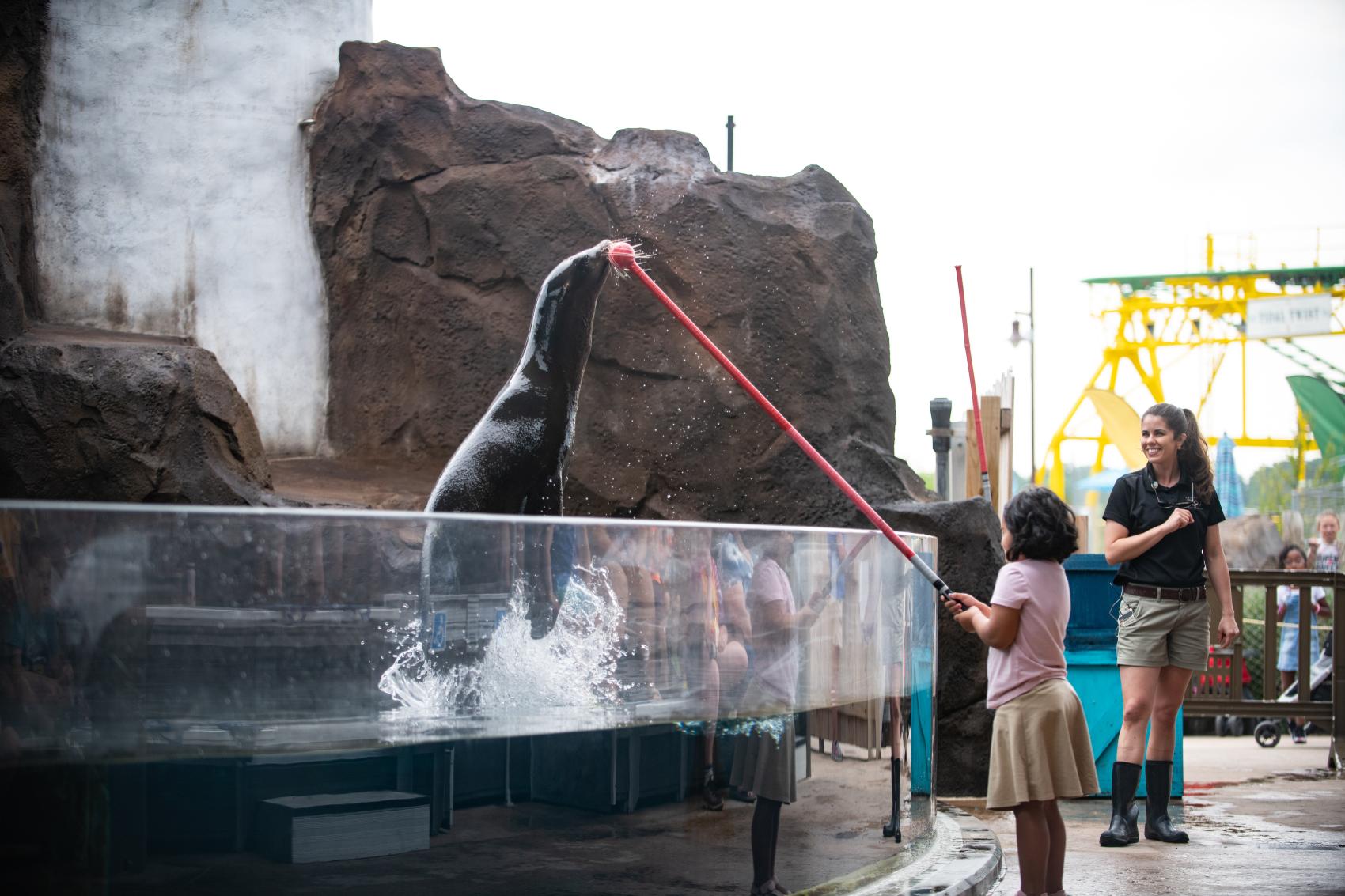 Columbus Zoo and Aquarium | Adventure Cove