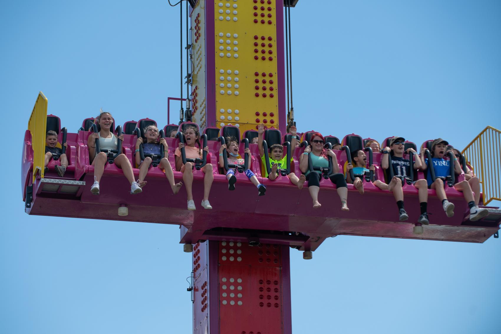 Falcon Fall | Columbus Zoo and Aquarium