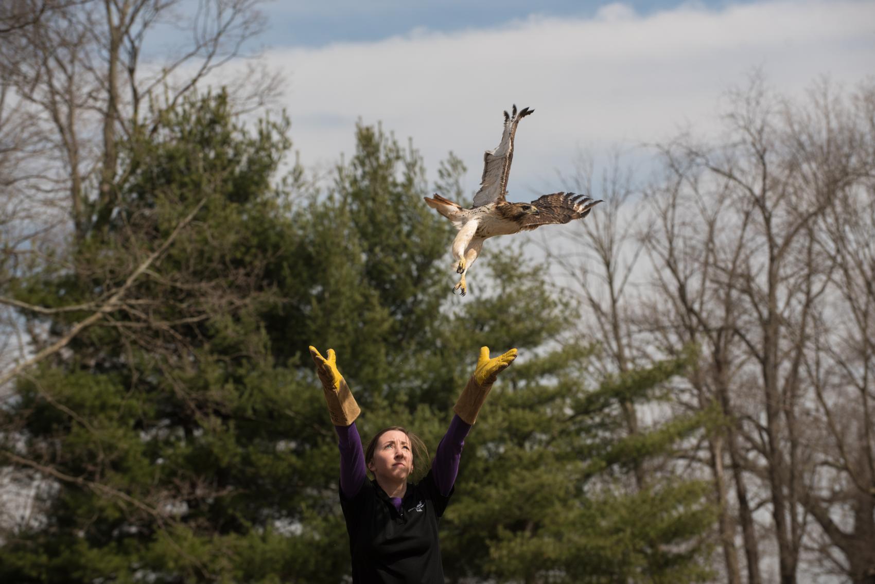 Ohio Wildlife Center | Columbus Zoo and Aquarium