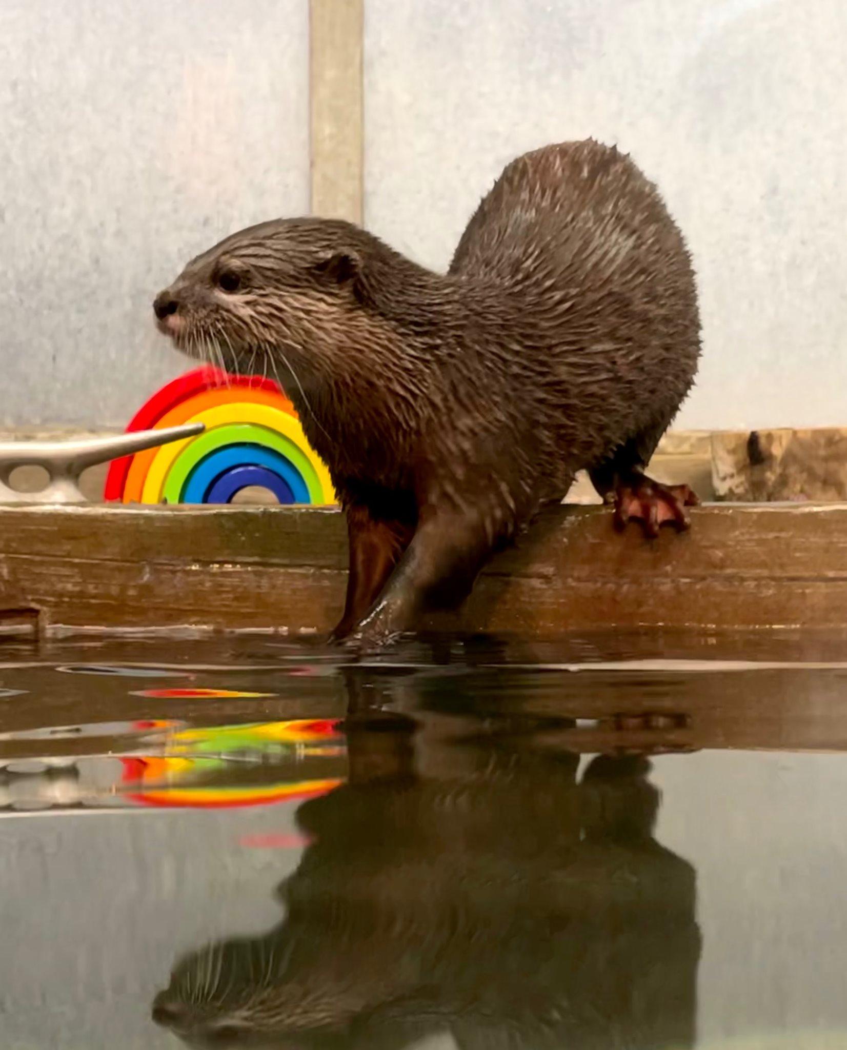 We're Wild About Pride | Columbus Zoo and Aquarium