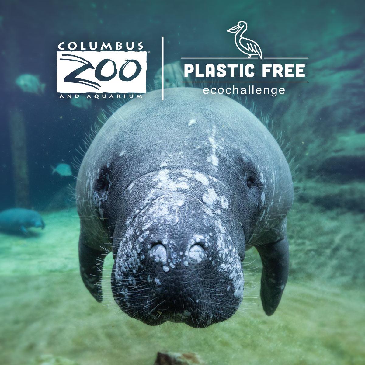 The Columbus Zoo Plastic Free Ecochallenge Kicks Off in July | Columbus ...