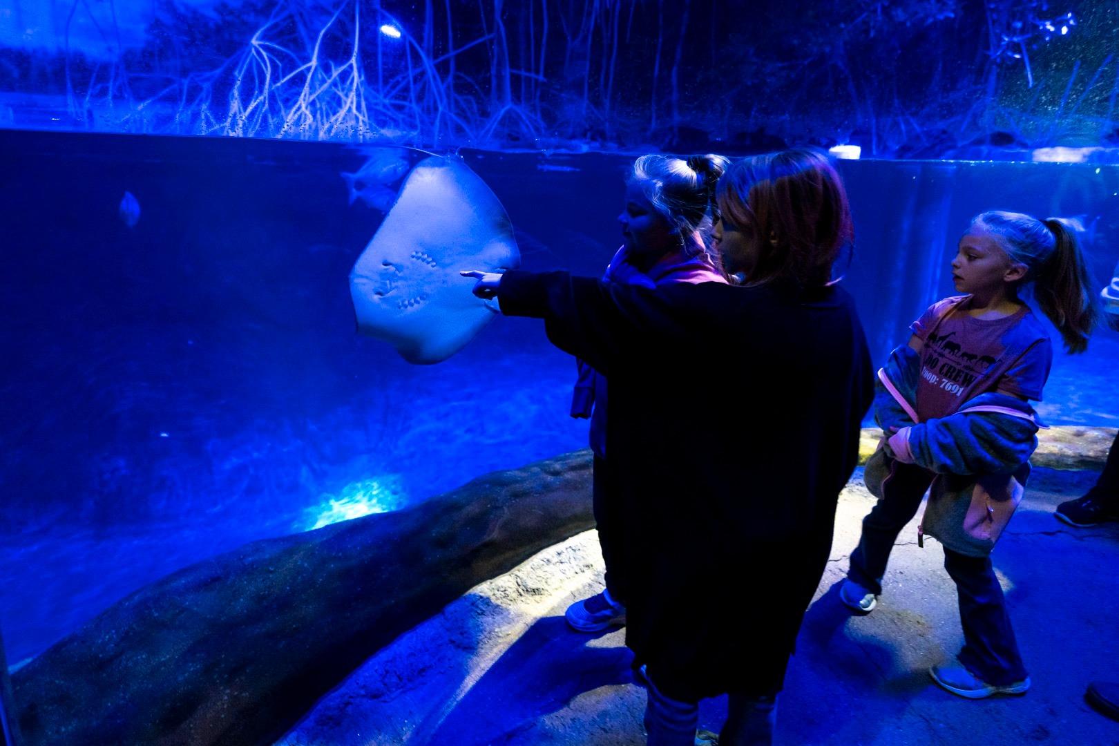 Experience the Wild Side of the Columbus Zoo—Overnight! | Columbus Zoo ...