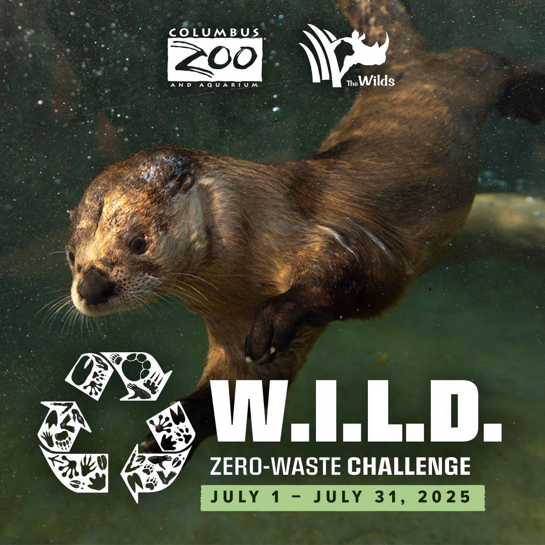 W.I.L.D. Zero-Waste Challenge: The 2025 Impact | Columbus Zoo and Aquarium