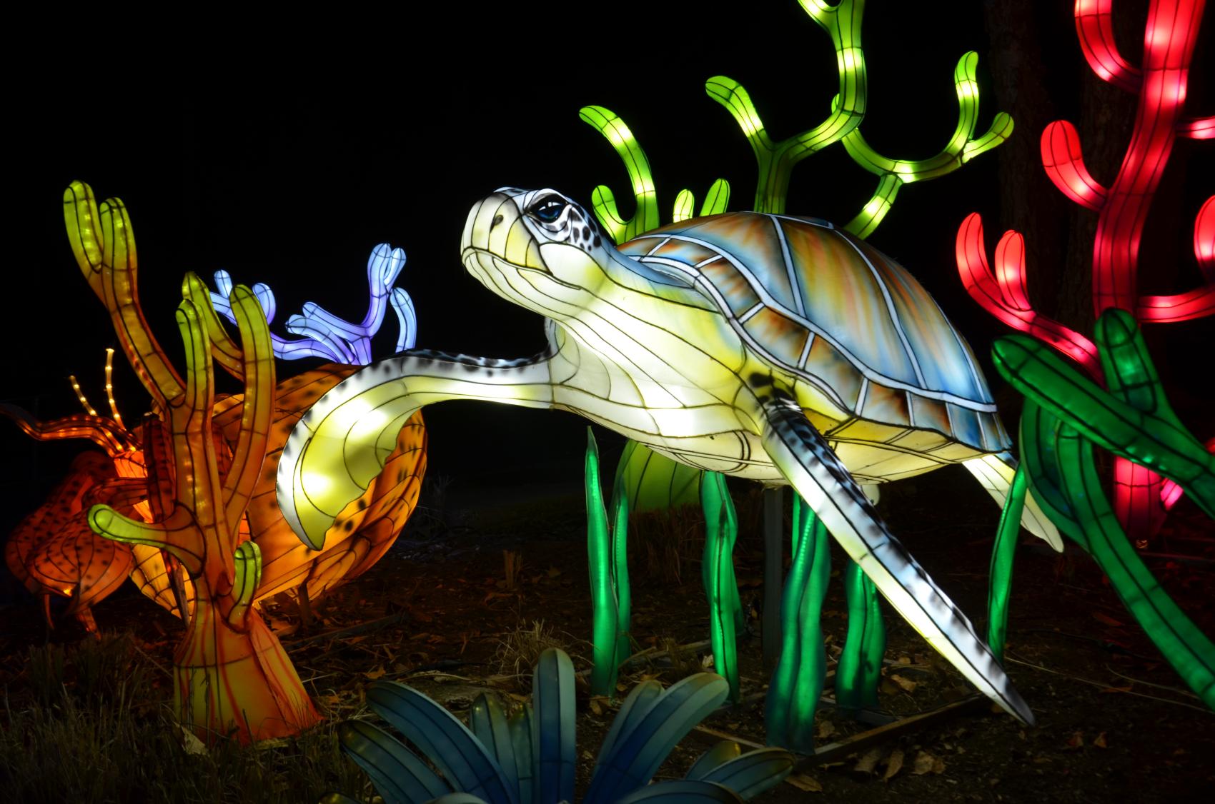 New and Spectacular Columbus Zoo Lantern Festival Coming to Central ...