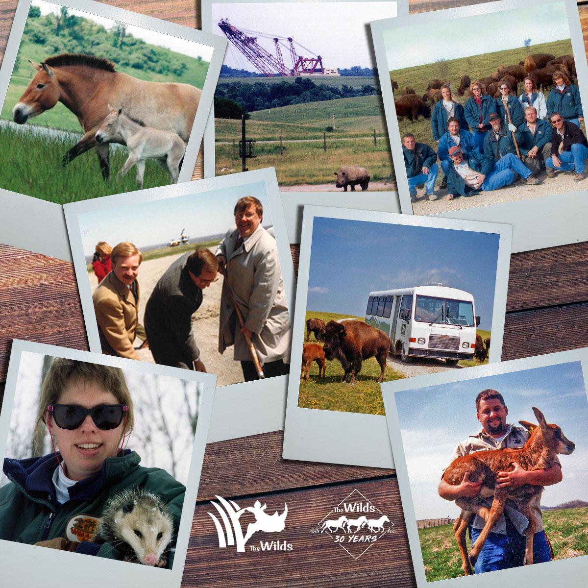 The Wilds Celebrates 30 Years of Inspiring Wildlife Enthusiasts and ...