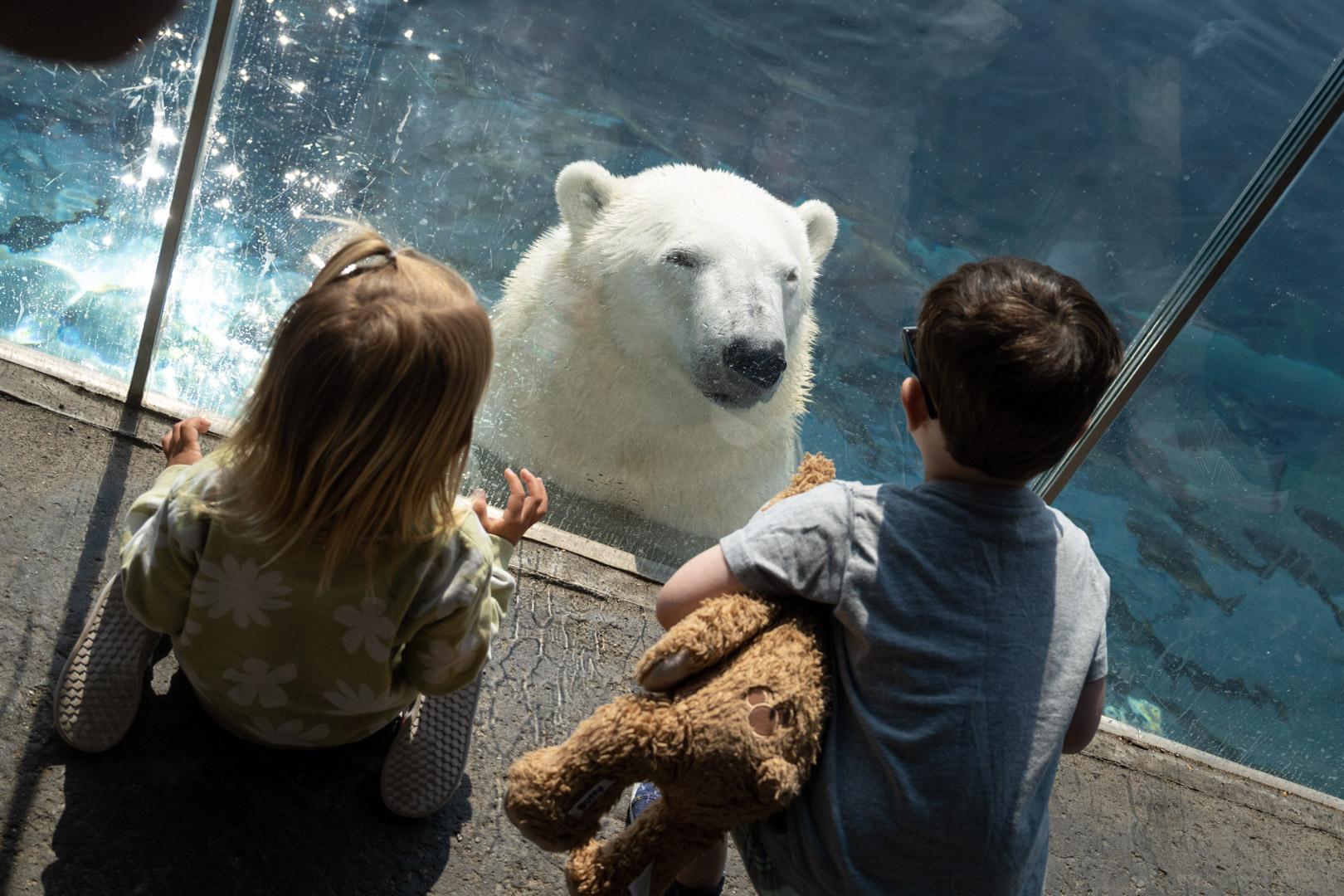 Columbus Zoo and Aquarium Reports Strongest Attendance Over a Memorial ...