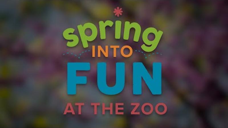 Spring Into Fun! | Columbus Zoo and Aquarium